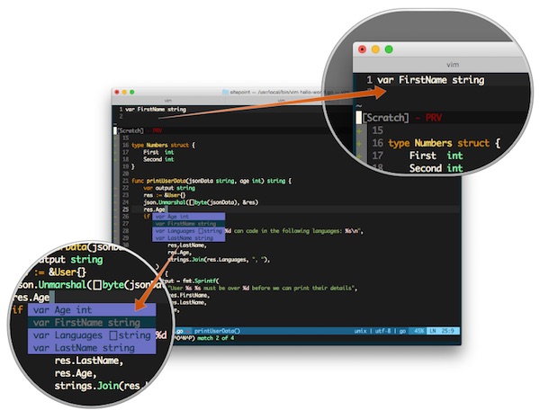 Can VIM Ever Be a Full-time Go Editor? —Matthew Setter:Freelance PHP developer, Pluralsight ...